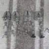 Necron Battleforce - купить от User37934 по цене 14 000руб - Свободный ...
